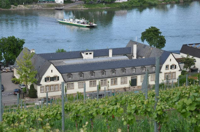 Louis Guntrum Oppenheimer Guldenmorgan Kerner Auslese 2005 – WineWorld HK